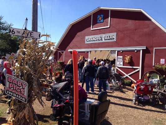 CLAY COUNTY FAIR - Updated October 2025 - 13 Photos - Spencer, Iowa ...