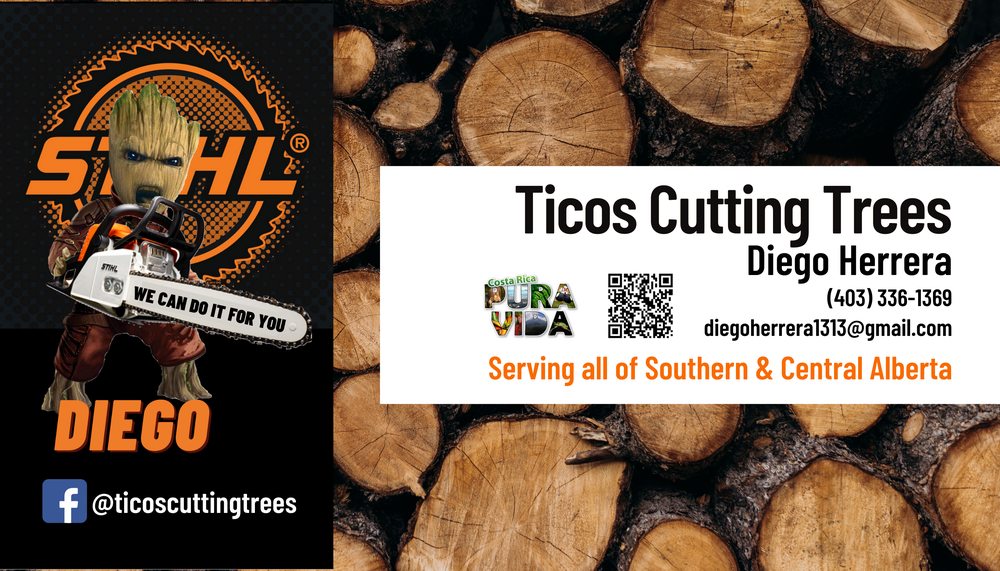 TICOS CUTTING TREES - Updated July 2025 - 46 Photos - 640 Whiteridge ...
