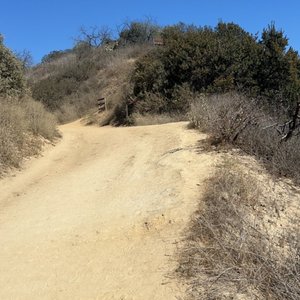 FRYMAN CANYON PARK - 250 Photos & 99 Reviews - 8401 Mulholland Dr ...