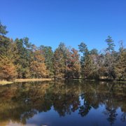 WILLIAM GOODRICH JONES STATE FOREST - 34 Photos & 15 Reviews UPDATED ...