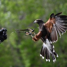 Mike's Camera Reviews | Read Customer Service Reviews of mikescamera.com