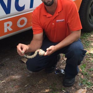 HUGHES EXTERMINATORS - Updated May 2025 - Request a Quote - 2812 S 70th ...