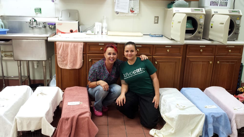 COLLIER SPAY NEUTER CLINIC - Updated December 2025 - 11965 Collier Blvd ...