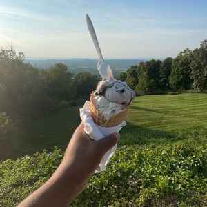 BELLVALE FARMS CREAMERY - 517 Photos & 447 Reviews - 1390 NY-17A ...