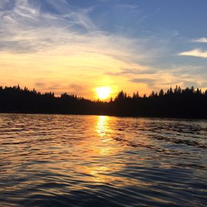 COLLINS LAKE RECREATION AREA - Updated June 2025 - 385 Photos & 236 ...