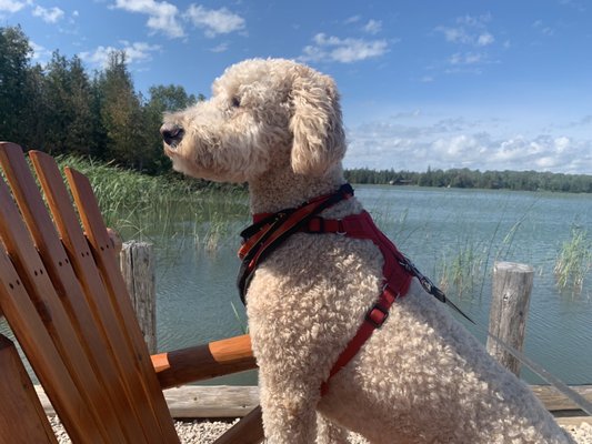 PARADISE POINT RV PARK with 11 real customer photos - Updated August ...