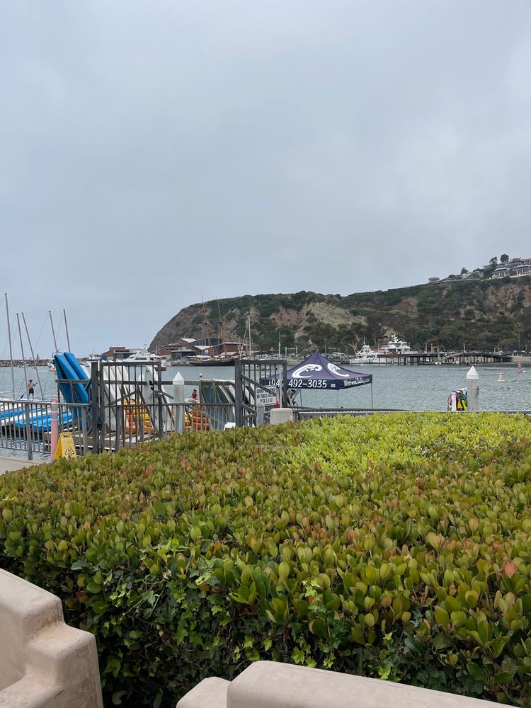 WESTWIND SAILING - Updated December 2025 - 43 Photos & 76 Reviews ...