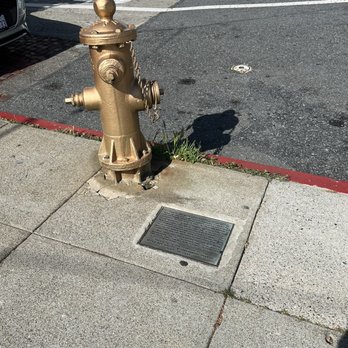 THE GOLDEN FIRE HYDRANT - Updated July 2025 - 52 Photos & 14 Reviews ...