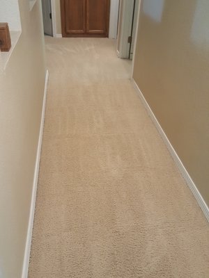WORLD CLASS CARPET CLEANING - Updated July 2025 - 196 Photos & 475 ...
