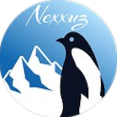 NEXXUZ - Updated January 2025 - Coppell, Texas - IT Services & Computer ...