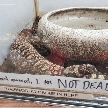 EAST BAY VIVARIUM - Updated August 2024 - 594 Photos & 580 Reviews ...