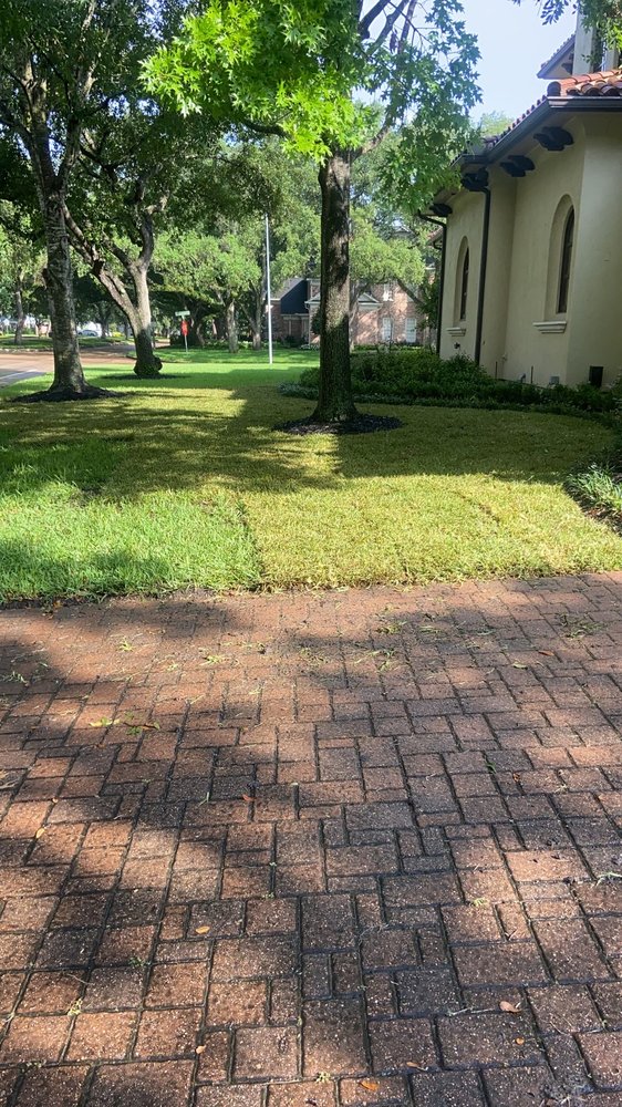 ALEX GARDENING AND MORE - Updated March 2026 - 20 Photos - Houston ...