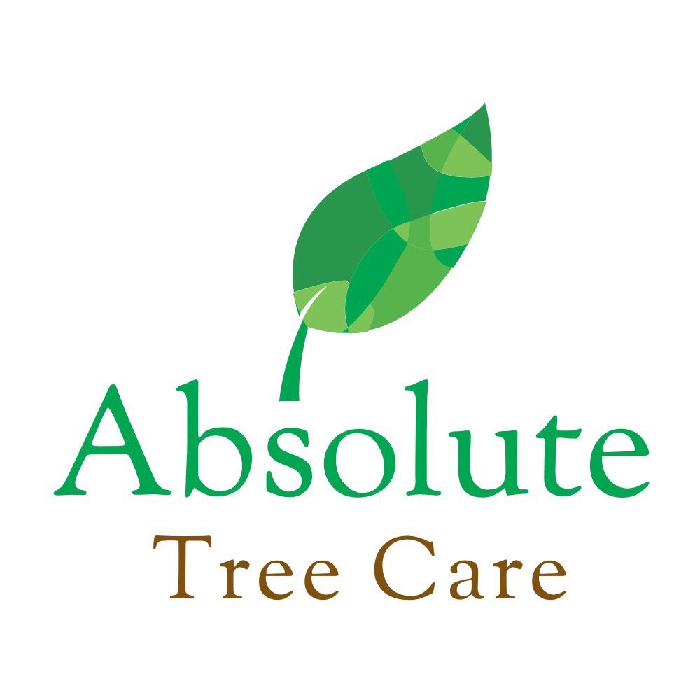 ABSOLUTE TREE CARE - Updated December 2025 - 15 Reviews - Littleton ...