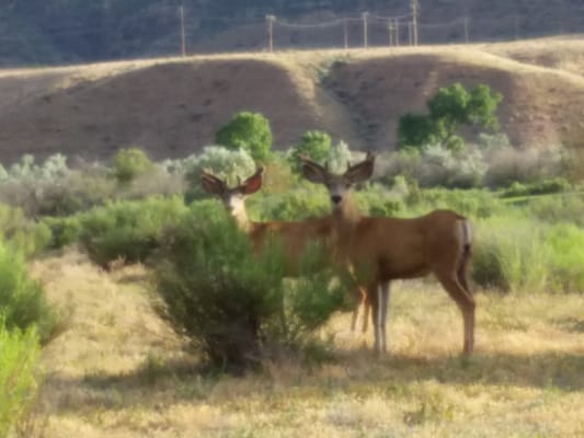 ADOBE CREEK NATIONAL GOLF COURSE - Updated September 2025 - 876 18 1/2 ...