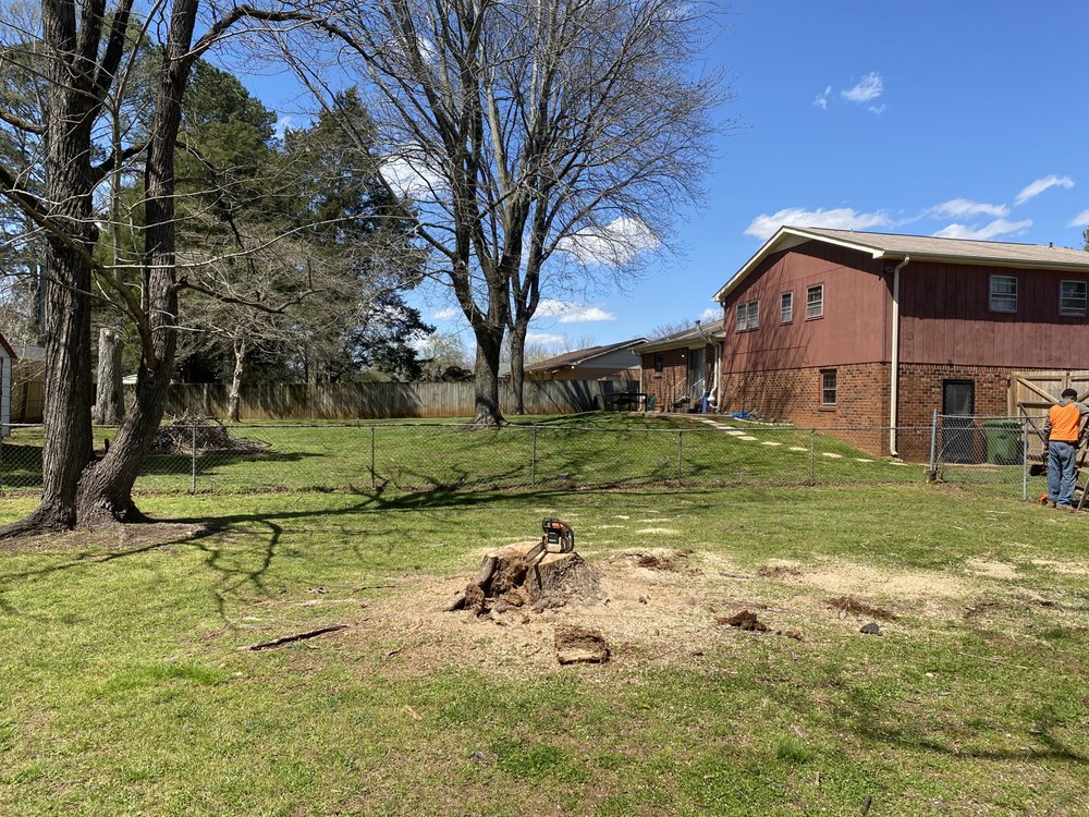 VICTORY TREE SERVICE - Updated November 2024 - Request a Quote ...