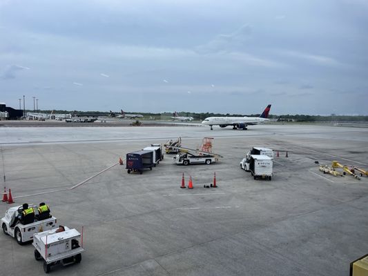 BWI THURGOOD MARSHALL AIRPORT - CONCOURSE D - Updated December 2025 ...