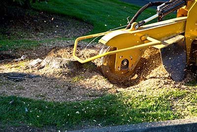 CAPITAL CITY TREE CARE - Updated December 2024 - 941 Carriage Way ...