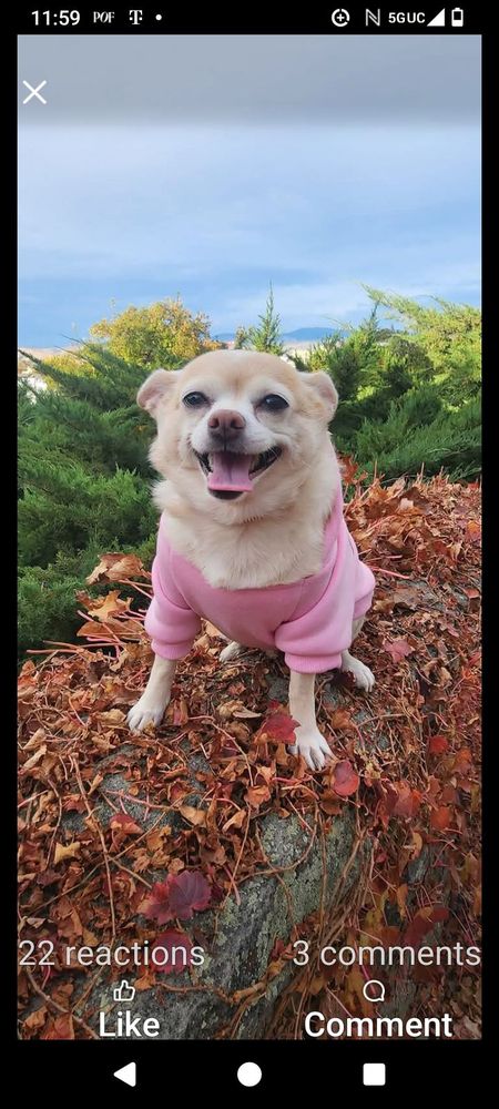 IDAHO HUMANE SOCIETY - Updated February 2026 - 40 Photos & 74 Reviews ...