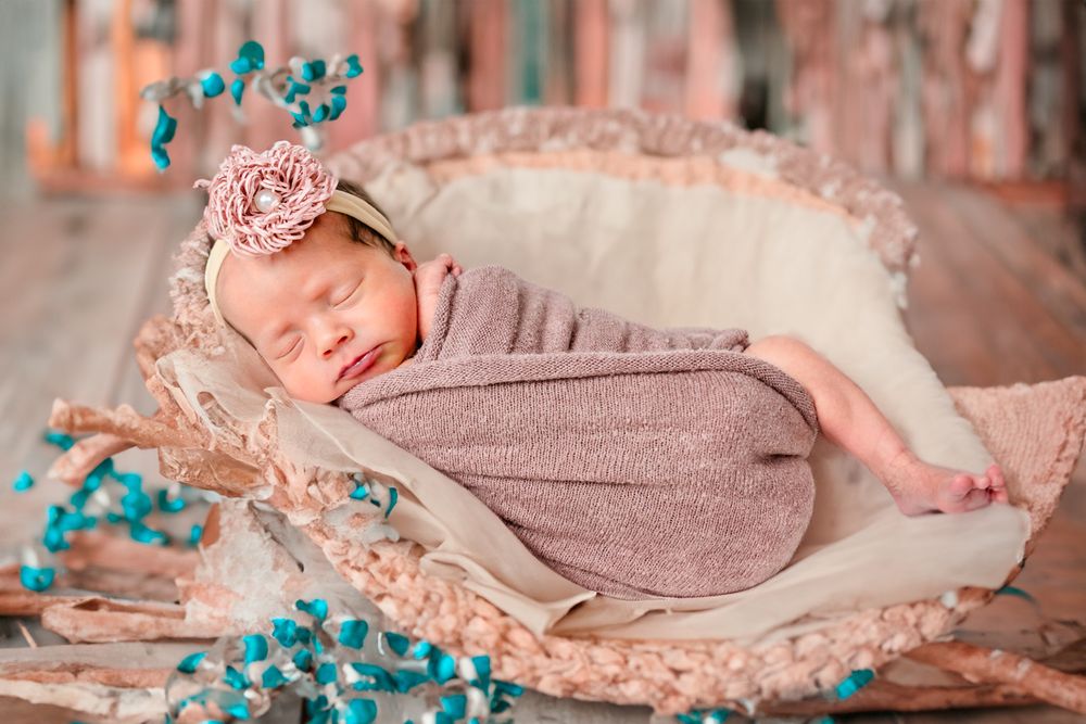 MEG S PHOTOGRAPHY - Updated March 2025 - 12 Photos - Kathleen, Georgia ...