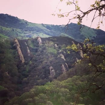 DIABLO FOOTHILLS REGIONAL PARK - Updated January 2026 - 244 Photos & 45 ...