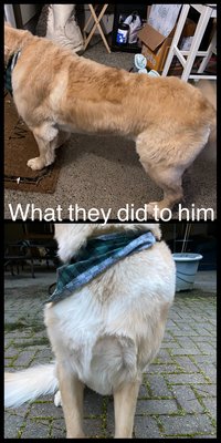 REBER RANCH - 116 Photos & 187 Reviews - 28606 132nd Ave SE, Kent ...