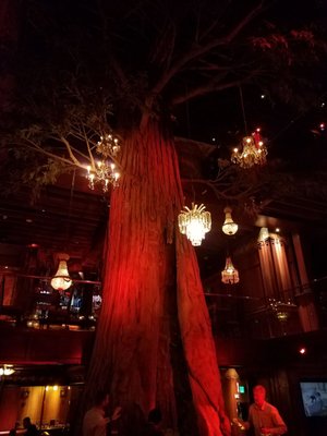 MONARCH BAR - Updated July 2025 - 14 Photos - 648 S Broadway, Los ...