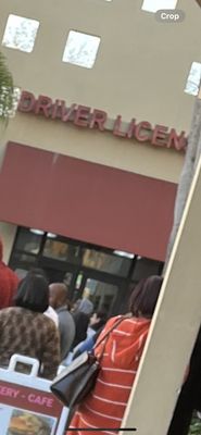 DEPARTMENT OF MOTOR VEHICLES - Updated January 2026 - 32 Photos & 89 ...