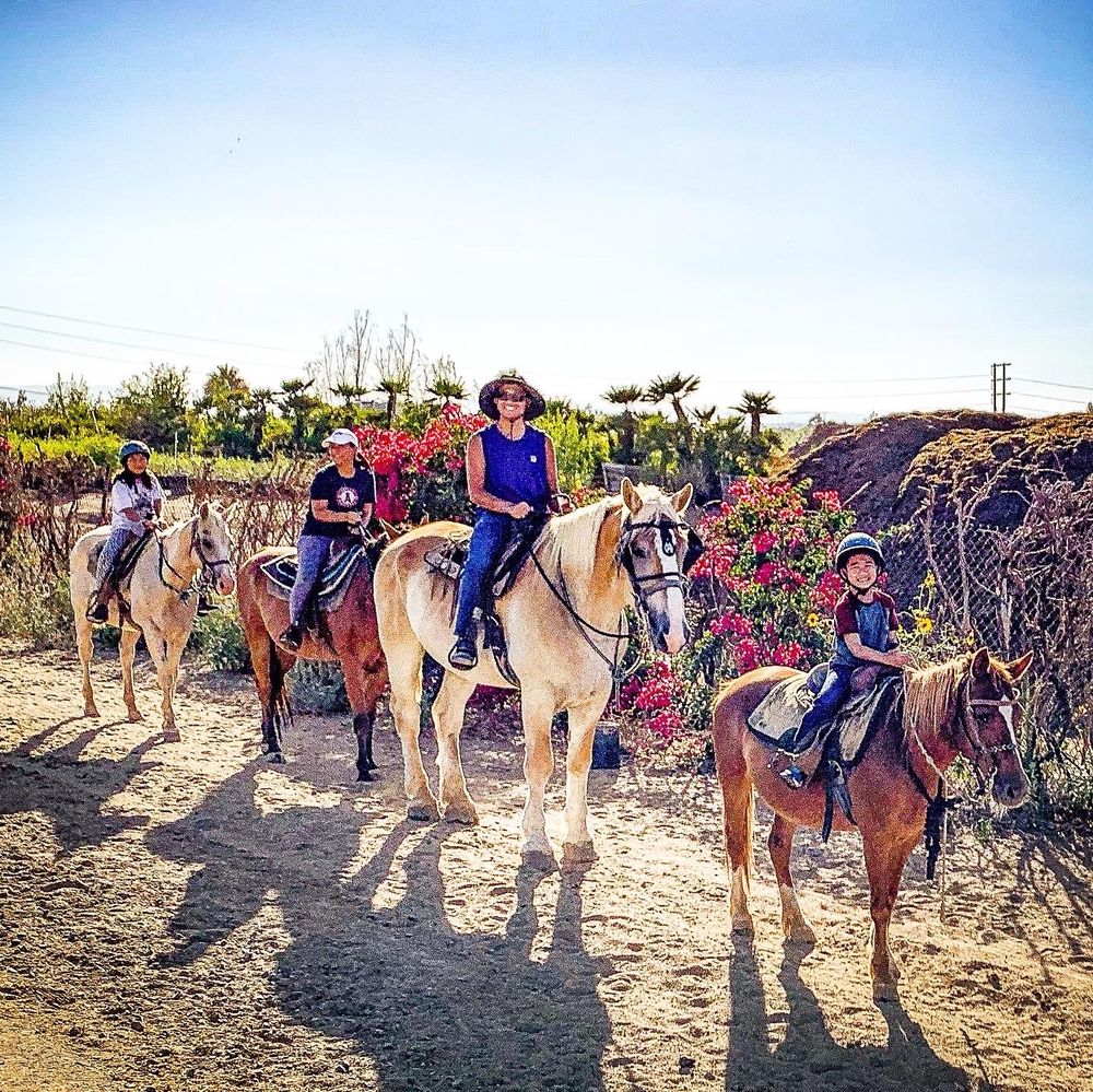 SUNSHINE AND DAYDREAMS - Updated June 2024 - 396 Photos & 528 Reviews ...