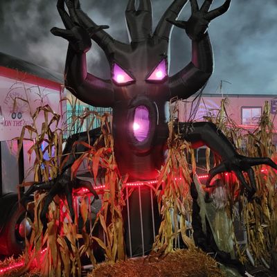 WILD WAVES THEME AND WATER PARK - Updated October 2025 - 597 Photos ...