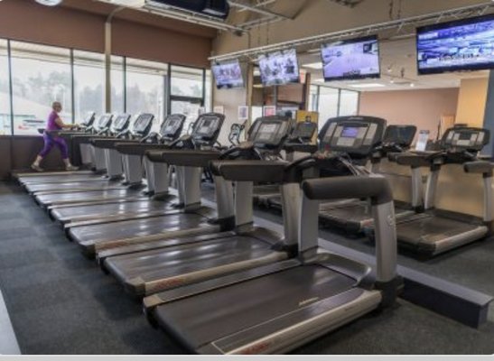 THE WORKOUT CLUB - 22 Photos - 35 Hamel Dr, Manchester, NH - Yelp