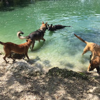 PERRINE WAYSIDE PARK - Updated July 2025 - 105 Photos & 44 Reviews ...