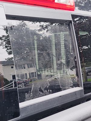 RICHARD CHEVROLET - Updated January 2026 - 44 Photos & 72 Reviews ...