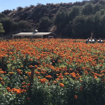 SANCHEZ PRODUCE - Updated January 2026 - 65 Photos & 23 Reviews - 16230 ...