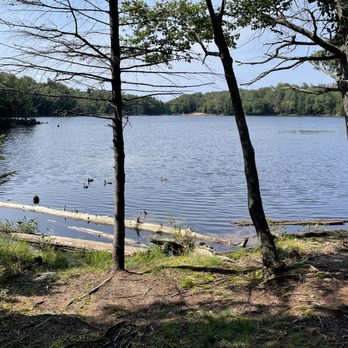 OLD FORGE CAMPING RESORT - Updated October 2025 - 68 Photos & 34 ...