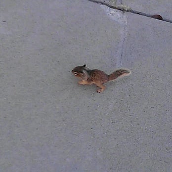 WALNUT RANCH PARK - Updated October 2025 - 21 Photos & 11 Reviews ...