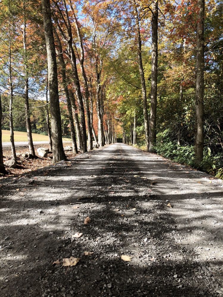 MOUNTAIN SPRINGS LAKE RESORT - Updated December 2025 - 27 Photos & 21 ...