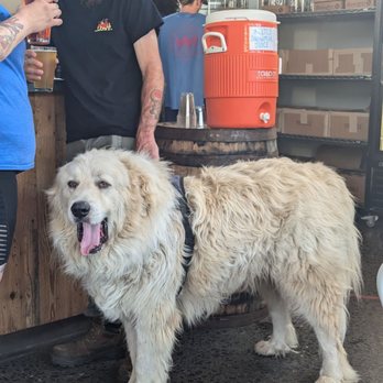 BASIC CITY BEER - Updated January 2026 - 157 Photos & 94 Reviews - 1010 ...