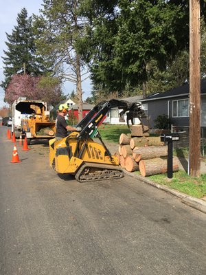 ALL AROUND ARBOR TREE SERVICE - Updated October 2025 - 73 Photos & 187 ...