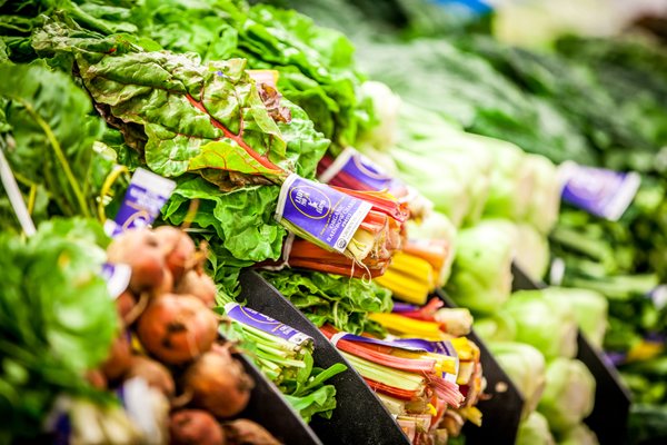 FRESHFIELDS FARM nearby at 400 E Compton St, Orlando, Florida - 550 ...