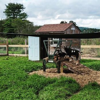 CIDER HILL FARM - Updated July 2025 - 404 Photos & 279 Reviews - 45 ...