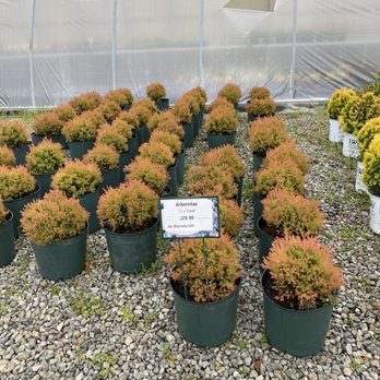 RIGHTWAY GARDEN CENTER - Updated October 2025 - 36 Photos & 12 Reviews ...