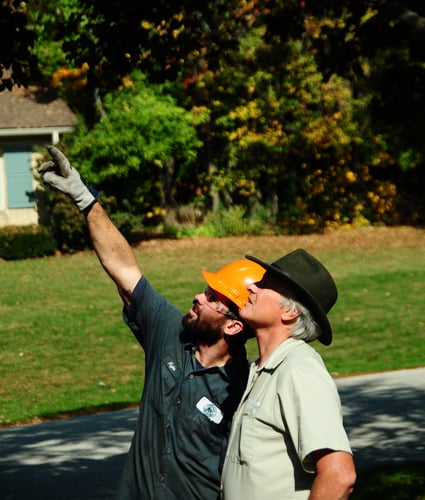 AMERICAN TREE EXPERTS, INC. - Updated October 2025 - 10 Photos - 2100 S ...