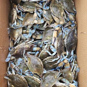 KYLE LEBLANC CRAWFISH FARMS - Updated August 2025 - 10 Photos & 17 ...
