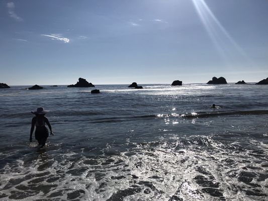 SHELL BEACH with 67 real customer photos - Updated August 2024 - 3095 ...