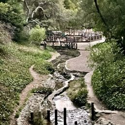 CODORNICES PARK - Updated October 2025 - 162 Photos & 160 Reviews ...