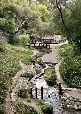 CODORNICES PARK - Updated November 2025 - 162 Photos & 160 Reviews ...