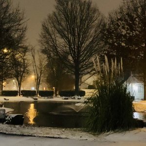 CHESAPEAKE POINTE - Updated June 2025 - 19 Photos - 3537 Towne Point Rd ...