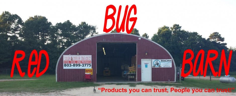 RED BUG BARN - Updated July 2025 - 827 Elliott Rd, Richburg, South ...