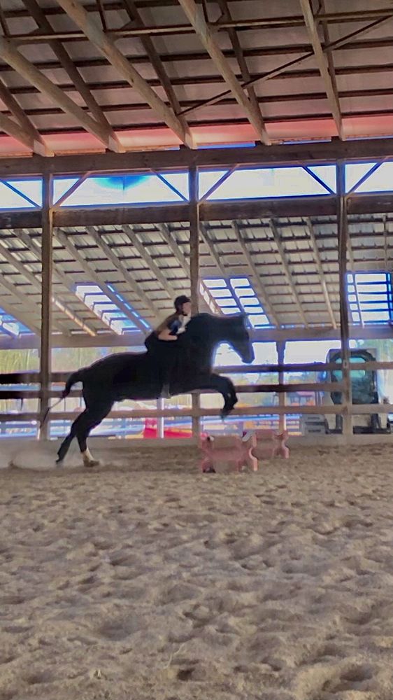 MORGAN STABLES - Updated September 2025 - 3872 Cain Run Rd, Batavia ...