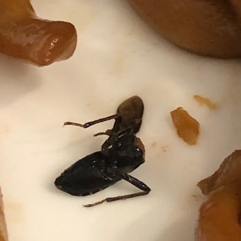 SINGAPORE SAM’S - Updated March 2025 - 31 Photos & 64 Reviews - 555 11 ...